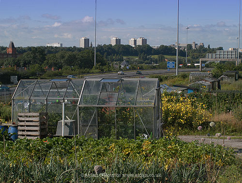 Brinnington Rise | Allotments Stockport